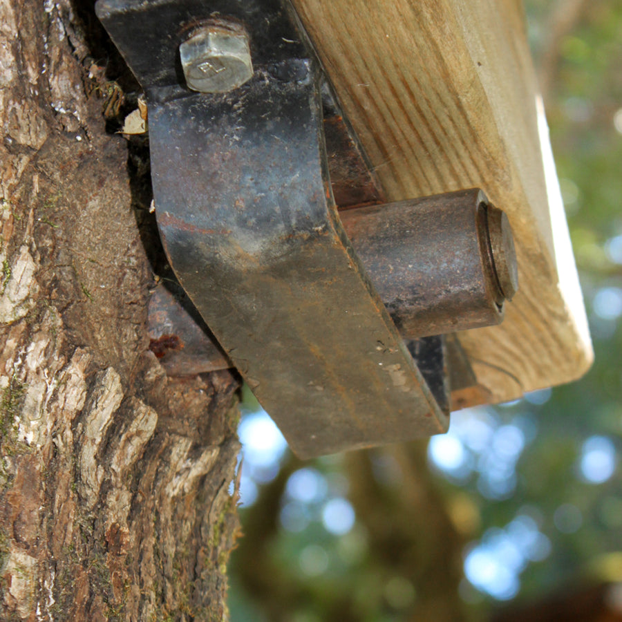 How to secure it properly to the tree trunk 🔨🌲 Sustainable & tree-friendly!
