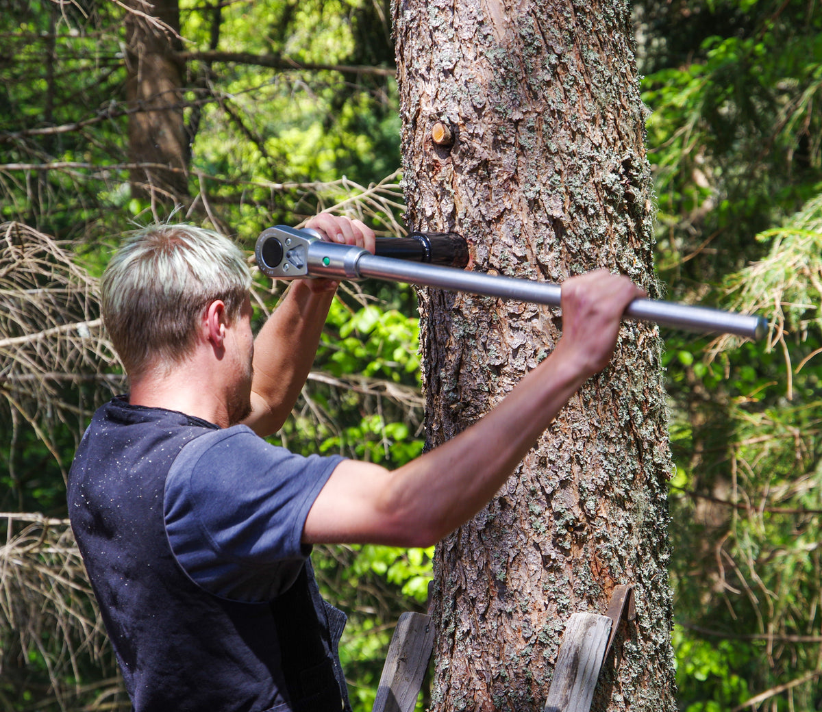 How to secure it properly to the tree trunk 🔨🌲 Sustainable & tree-friendly!